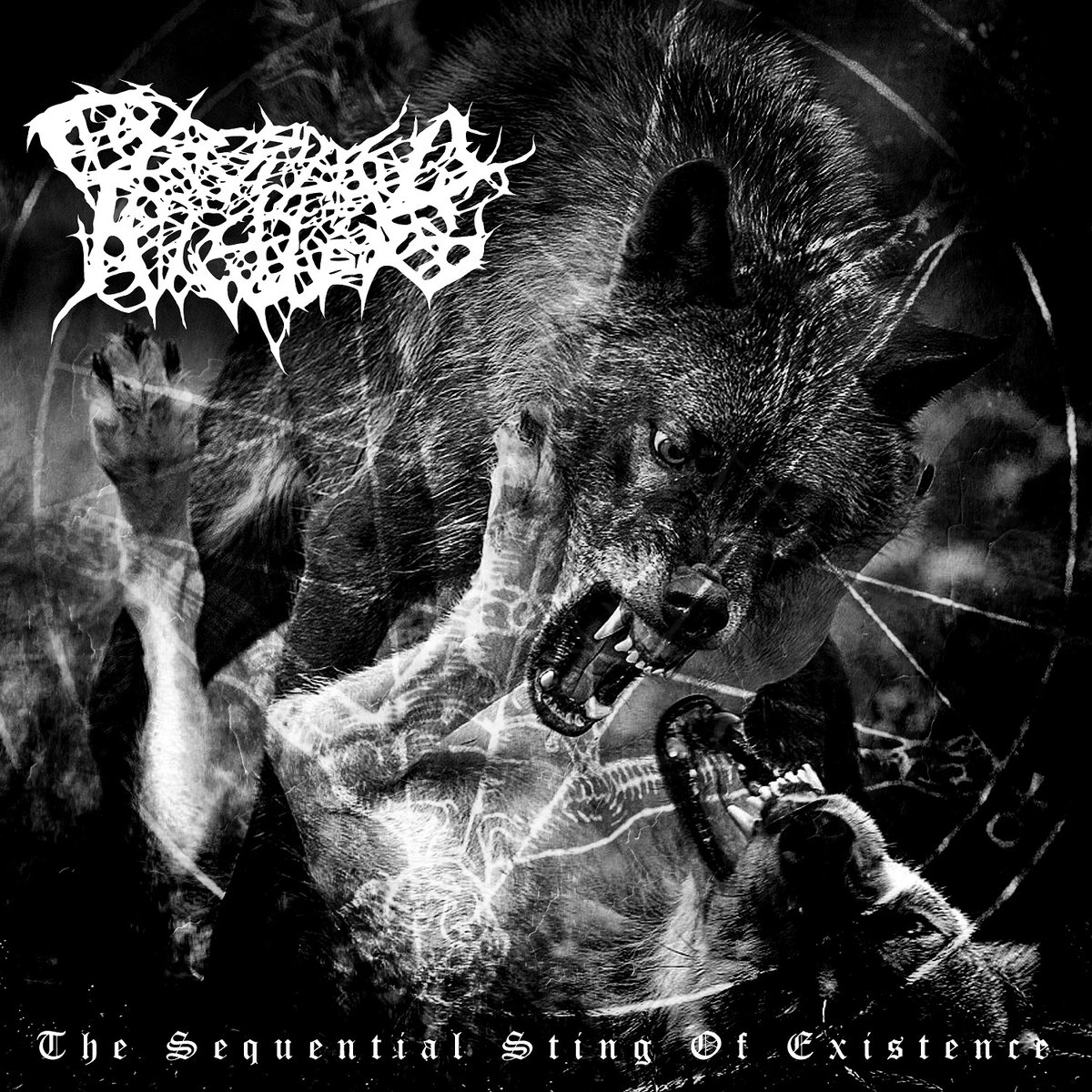 Experimental Black Metal Project ‘Cryptic Rising’ Releases New Digital ...